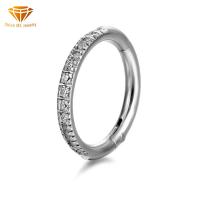 China Fashion Jewelry 316L Stainless Steel Piercing Zircon Nose Ring Closed Ring Seamless Connection Nose Ring Earrings Segment Ring Sspr076 for sale