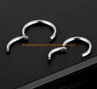 China Fashion Jewelry 316L Stainless Steel Piercing Zircon Nose Ring Closed Ring Seamless Connection Nose Ring Earrings Segment Ring Sspr076 for sale