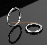 China Fashion Jewelry 316L Stainless Steel Piercing Zircon Nose Ring Closed Ring Seamless Connection Nose Ring Earrings Segment Ring Sspr076 for sale