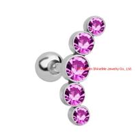 China Hot Sale Surgical Stainless Steel Jewelry Czech Diamond Earrings Earrings Ear Bone Nails Ear Nail Piercing Jewelry Ssp073 for sale