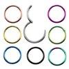 China Fashion Jewelry 316L Stainless Steel Piercing Jewelry Hinged Segment Ring Closed Loop Nose Ring Hinged Rings Sspb07 for sale