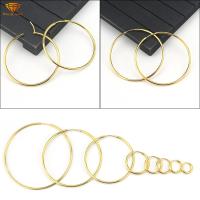 China European and American Earrings, Round Circle Earrings, Exquisite Fine Ear Needles, Small Ear Rings, Female Net Celebrity Vibrato Explosion Ear Jewelry Er0188 for sale