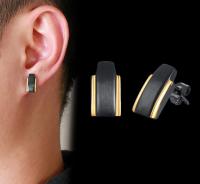 China Fashion Jewelry Earrings Pure Titanium Men Earrings IP Gold Magnetic Titanium Earrings for Men and Women Er430g for sale