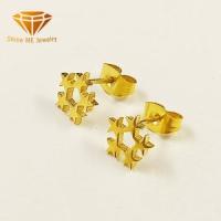 China Fashion Jewelry Stainless Steel Jewelry Piercing IP Gold Earrings Ear Studs for Women Er4825 for sale