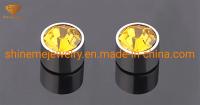 China Fashion Jewelry Piercing Ear Clip Stainless Steel Silver 5mm Zircon Stainless Steel Ear Stud Er3986 for sale