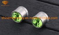 China Fashion Jewelry Piercing Ear Clip Stainless Steel Silver 5mm Zircon Stainless Steel Ear Stud Er3986 for sale