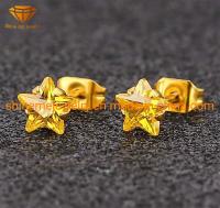 China Medical Stainless Steel Inlay 6mm Pentagram Colors AAA Zircon Hypoallergenic Earrings Er3980 for sale