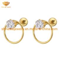 China Titanium Steel Stainless Steel Circle White Zircon Earrings Trend Fashion Hypoallergenic Stainless Steel Jewelry Er2938 for sale
