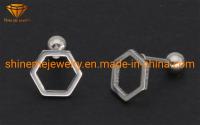 China Fashion Jewelry Hexagonal Hollow Titanium Earrings Personality Polygon Earrings for Men and Women Er2907 for sale