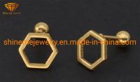 China Fashion Jewelry Hexagonal Hollow Titanium Earrings Personality Polygon Earrings for Men and Women Er2907 for sale