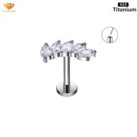 China Implant Grade Titanium Threadless Push in Flat Back Earring Stud with 5 Marquise CZ Top Sm0102 for sale
