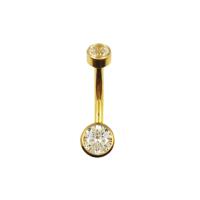 China High Quality Fashion Jewelry Plated Jewelry ASTM F136 Titanium Piercing CZ IP Gold Navel Ring Tpn012g for sale