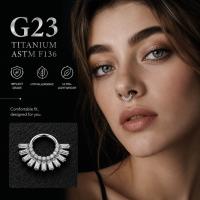 China F136 titanium alloy nose ring 5A zircon body piercing jewelry wholesale SM2613 for sale