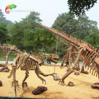 China Sunproof Resin Dinosaur Skeleton Gasosaurus Skull for sale