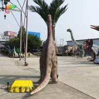 China Manufacturer Life Size Simulation Shunosaurus Animatronic Dinosaur Model For Amusemen Park for sale