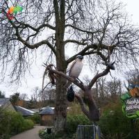 China ISO Garden Ornaments Realistic Animatronic Looking Bird Lifelike Animals for sale