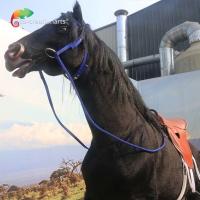 China Lifelike Animatronic Horse With Full-Body Motion & Realistic Fur: Interactive Savannah-Themed Attraction for sale