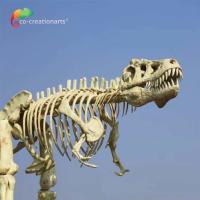 China length 15m Museum Quality Dinosaur Replicas T Rex Skull water repellent for sale