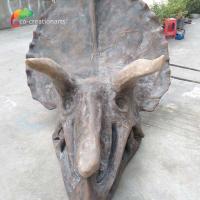 China ISO water repellent Dinosaur Skeleton Replica Fossil Life Size Triceratops Skull for sale