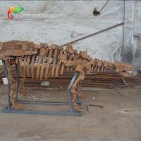 China Park Decoration Dinosaur Skeleton Replica  Life Size  Sunproof for sale