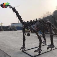 China CE Jurassic Park Dinosaur Skeleton Replica Shunosaurus Skeleton weather reistance for sale