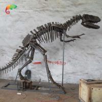 China landscape decoration Outdoor Yangchuanosaurus Skeleton Dinosaur Replica Fossil for sale