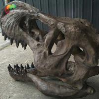China CE Realistic Artistic Dinosaur Skeleton Replica T Rex Skeleton Head High simulation for sale