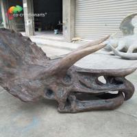 China ISO water repellent Dinosaur Skeleton Replica Fossil Life Size Triceratops Skull for sale