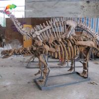 China Park Decoration Dinosaur Skeleton Replica  Life Size  Sunproof for sale