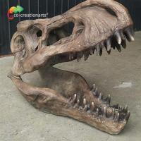 China CE Realistic Artistic Dinosaur Skeleton Replica T Rex Skeleton Head High simulation for sale