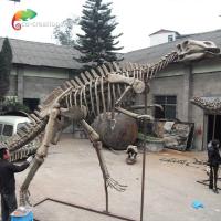China Fiberglass Life Size Dinosaur Skull Replica Hadrosaurus Skeleton anti aging for sale