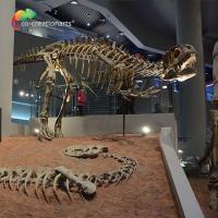 China landscape decoration Outdoor Yangchuanosaurus Skeleton Dinosaur Replica Fossil for sale
