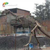 China Fiberglass Life Size Dinosaur Skull Replica Hadrosaurus Skeleton anti aging for sale
