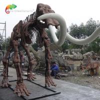 China weather reistance Real Size Replica Animal Skeletons Mammuthus Model for sale