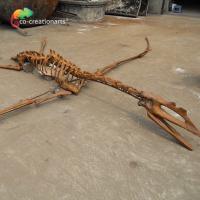 China Museum Exhibition Resin Dinosaur Skeleton Quetzalcoatlus Skeleton Customizable for sale