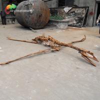 China Museum Exhibition Resin Dinosaur Skeleton Quetzalcoatlus Skeleton Customizable for sale
