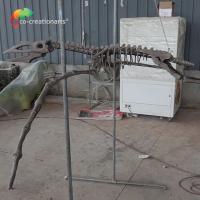 China Museum Exhibition Resin Dinosaur Skeleton Quetzalcoatlus Skeleton Customizable for sale