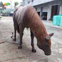 China Customized Life Size Animatronic Horse For Decoration Waterproofing for sale