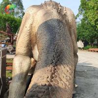 China 7M Dino Animatronic Realistic Tricratops Large Outdoor Dinosaur with Tail move for sale