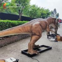 China Small Size  4M Waterproof Allosaurus Animatronic Exhibition Dinosaurs for sale