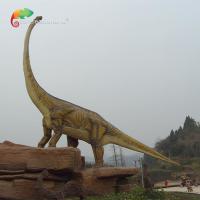 China 18M Large Fiberglass Dinosaur Resin Mamenchisaurus Model  Weather Resistance for sale