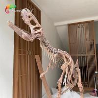 China Waterproof Fiberglass Dinosaur Skeleton Replicas For Museum Exhibition for sale