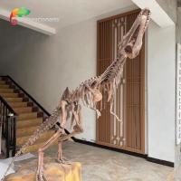 China Waterproof Fiberglass Dinosaur Skeleton Replicas For Museum Exhibition for sale