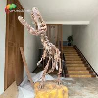 China Waterproof Fiberglass Dinosaur Skeleton Replicas For Museum Exhibition for sale