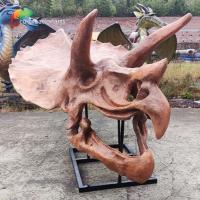 China Jurassic World Replica Triceratops Skeleton Sunproof For Museum for sale