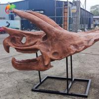 China Jurassic World Replica Triceratops Skeleton Sunproof For Museum for sale