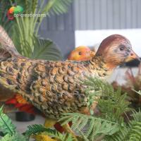 China Movement Realistic Animatronic Animals Customized Size Golden Pheasant for sale