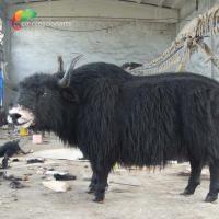 China Customized Lifelike Animatronics Robotic Animal Wild Yak Replications For Exhibition for sale