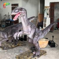 China Realistic Sound Control Systems Animatronic Dinsoaur Simulatio Velociraptor For Exhibition for sale