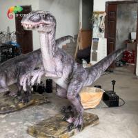 China Realistic Sound Control Systems Animatronic Dinsoaur Simulatio Velociraptor For Exhibition for sale
